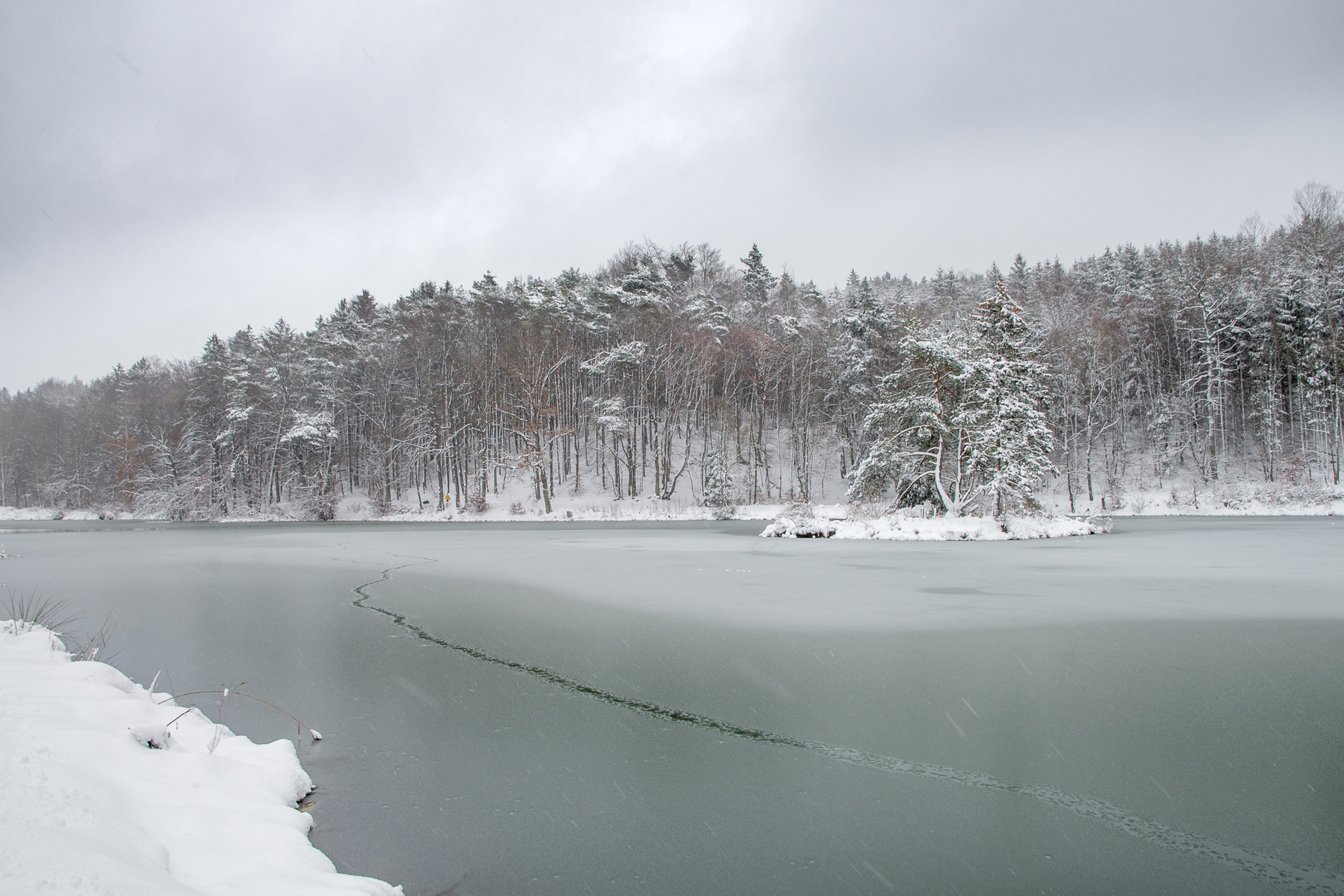 Under Ice Beaver Workshop